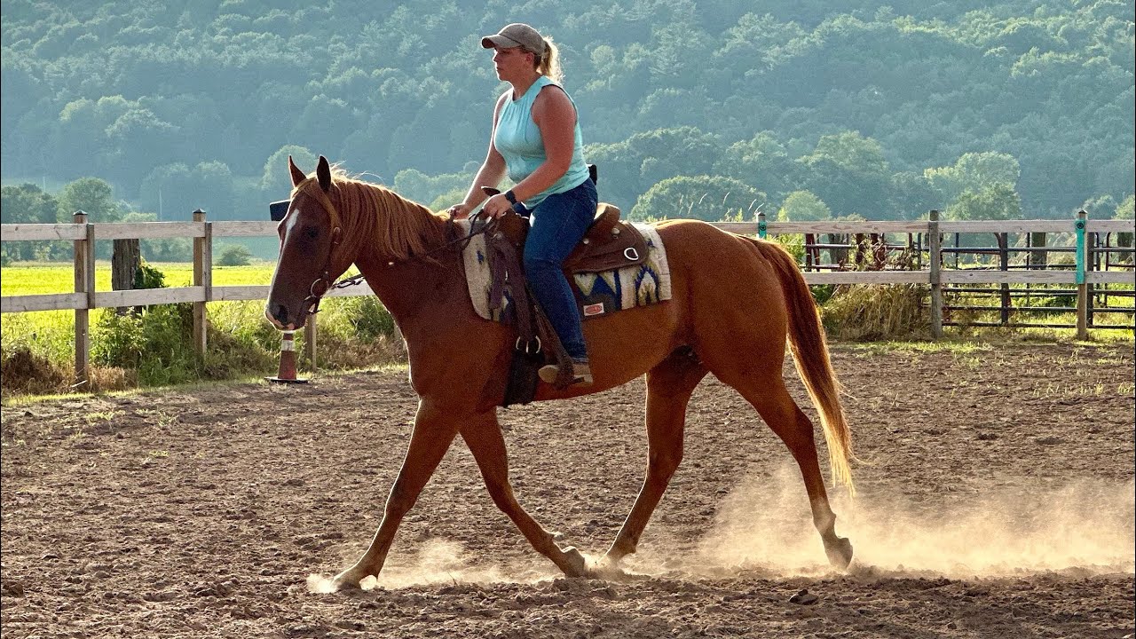 Jesse - 2015 AQHA Gelding - YouTube