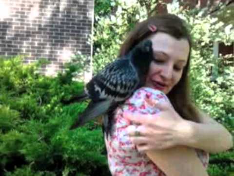 BIRD REHAB Talula's Day 15 - YouTube