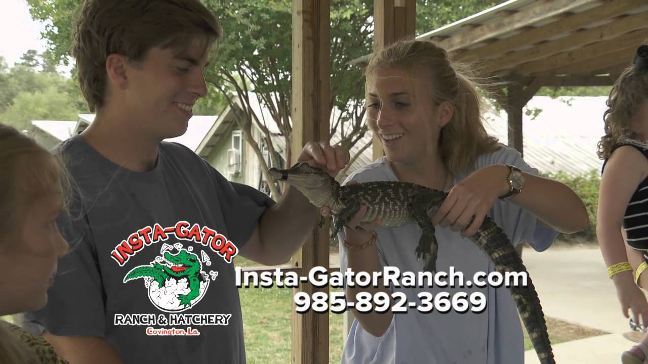 Insta-Gator Ranch - YouTube