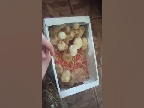 вероника😍🥰😘😗😙😚😌😋😜😝😛🤗🤪 - YouTube