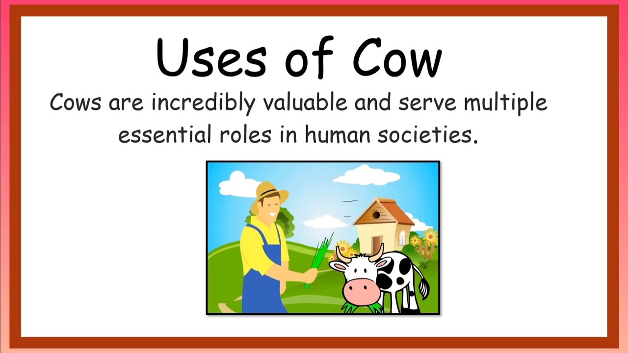 Uses of Cow #learningvideos #usesofcow #cowfarm - YouTube