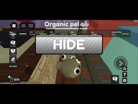 Hunting for organic pebble - YouTube