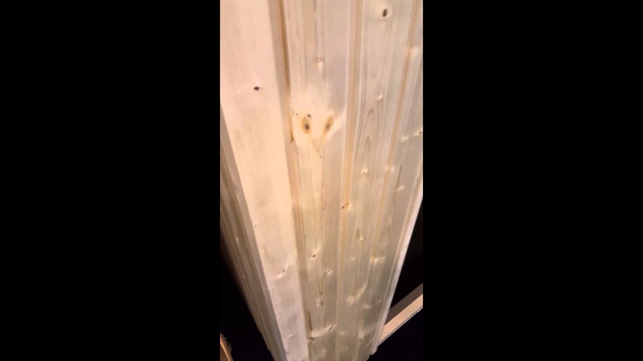 FINNLEO SAUNA - HEMLOCK VERSION REVIEW -PINE VS HEMLOCK - YouTube