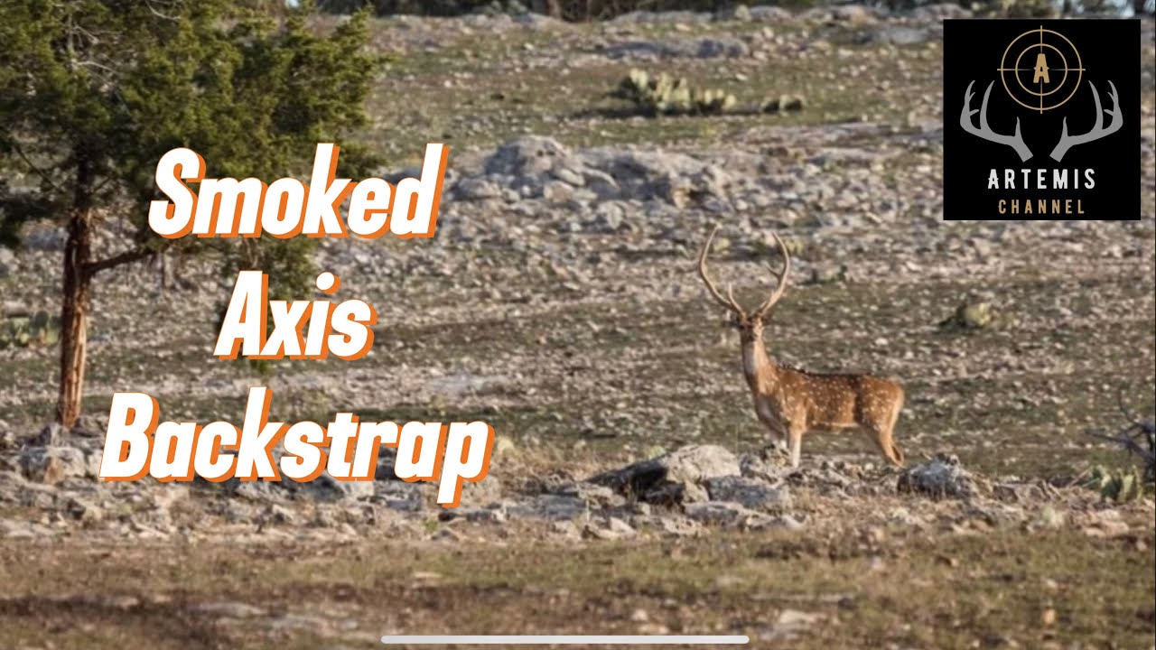 Smoked Axis Backstrap Recipe - YouTube