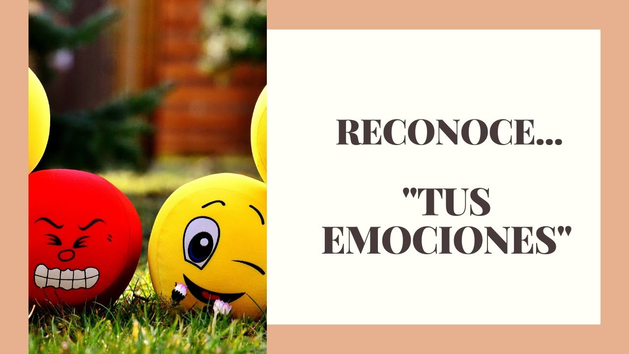 RECONOCE TUS EMOCIONES A DIARIO - YouTube