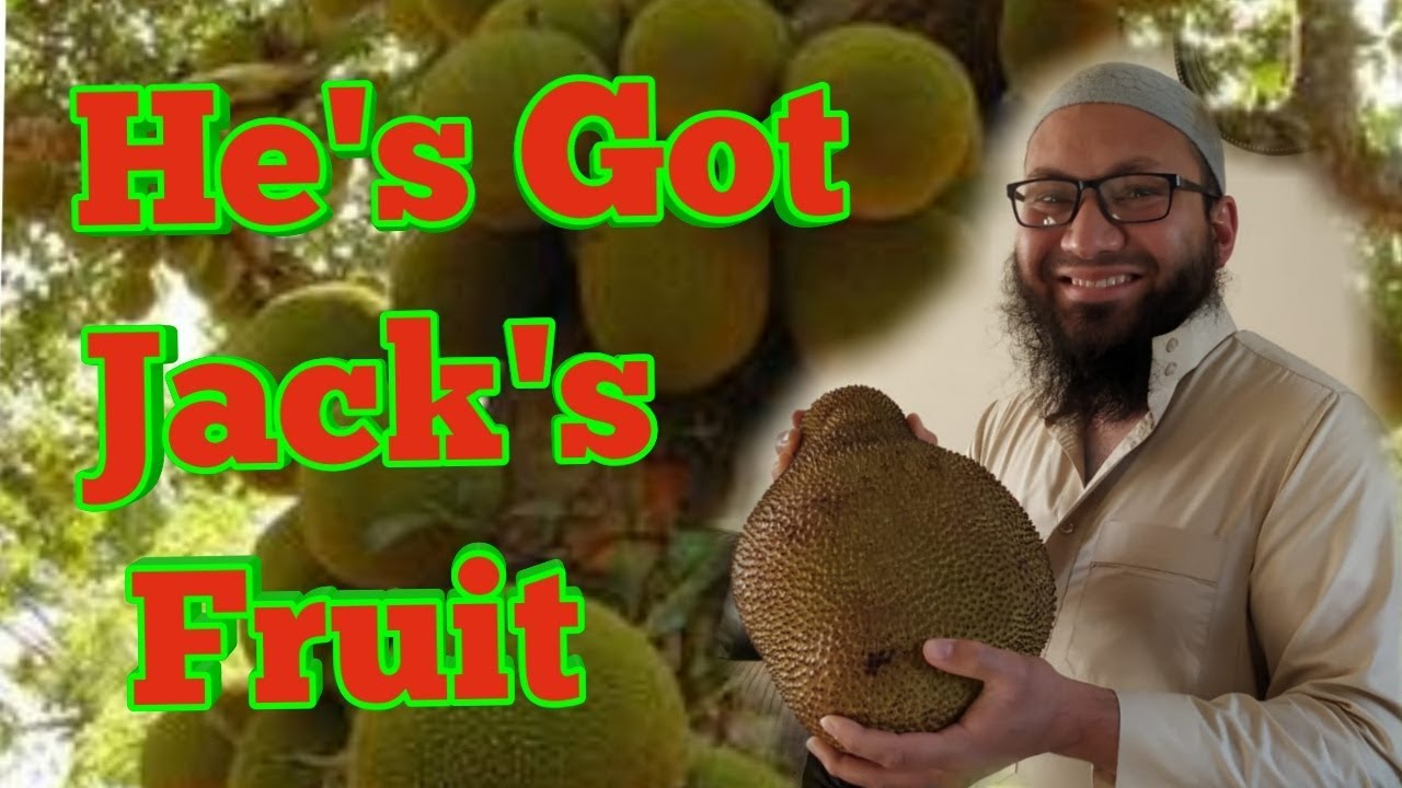 Jackfruit, How To Cut Jack Fruit /Khatol And How To Eat Jack Fruit ...