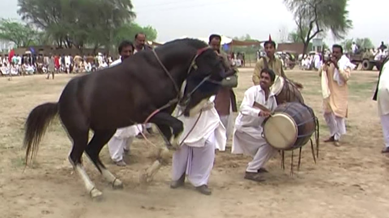 ghora dance 2020 - YouTube