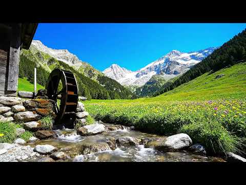 This Is Why We Travel to Switzerland | Alpine 4K #asmr #river #water