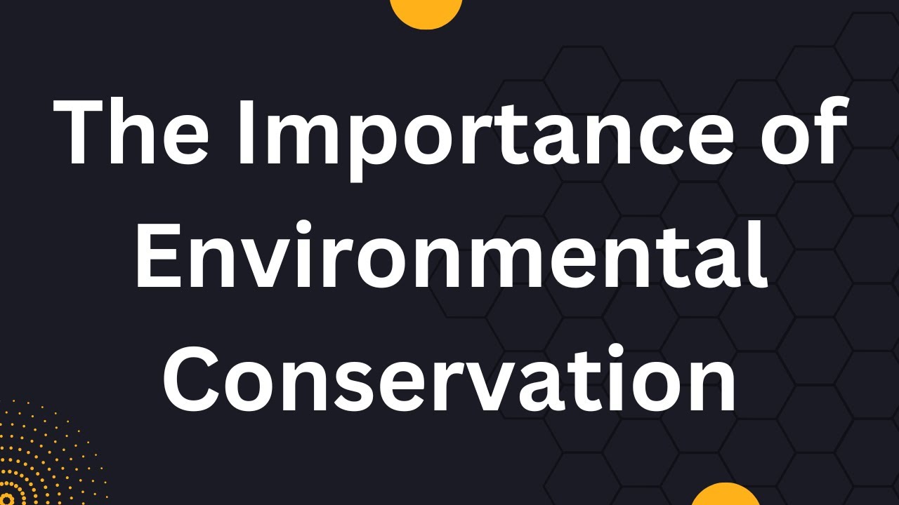 The Importance of Environmental Conservation - YouTube