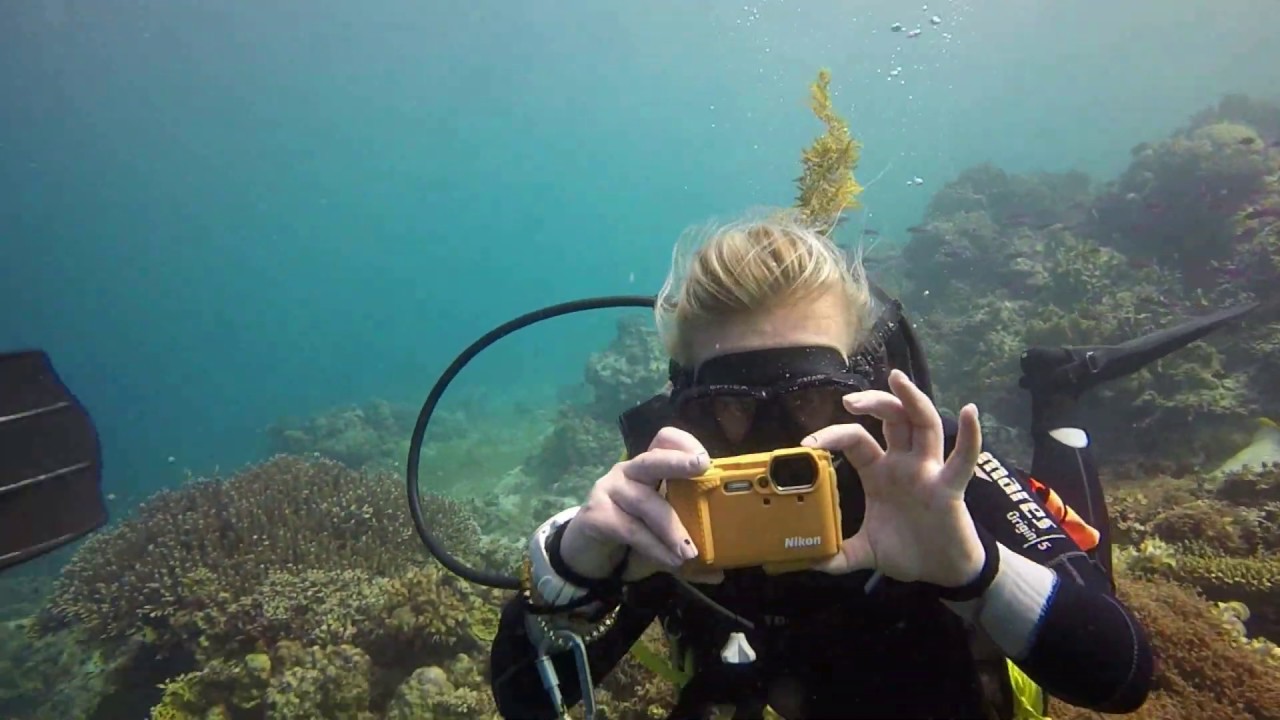 Дайвинг на Филиппинах | Панглао ( Бохол ) | Deep Sea Divers - YouTube