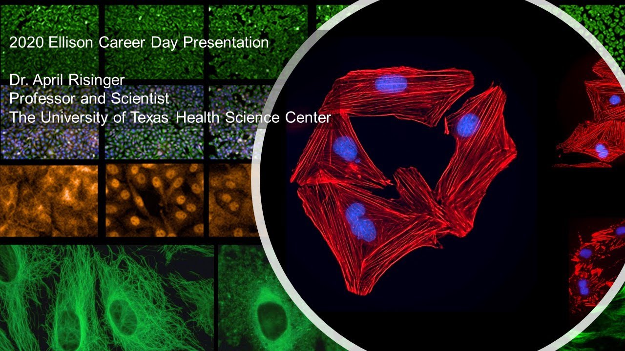 Dr. April Risinger: Ellison Elementary Career Day - YouTube