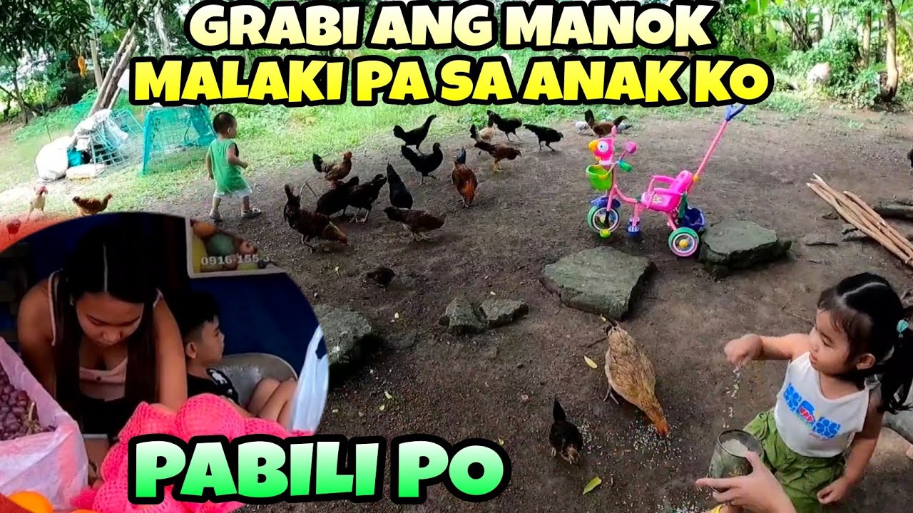 CHICKEN FARM NI SEYA AT ROKI / GRABI YUNG PINAG BILIHAN NAMIN SOLID ...