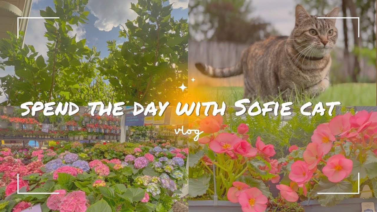 VLOG| SPENDING THE DAY WITH SOFIE CAT| #arceamor - YouTube