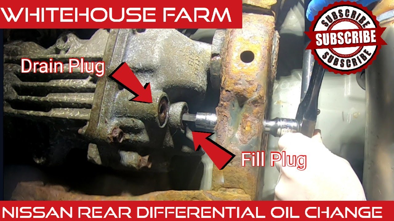 Nissan Rear Differential and Seized Gear Oil Plugs DIY - YouTube