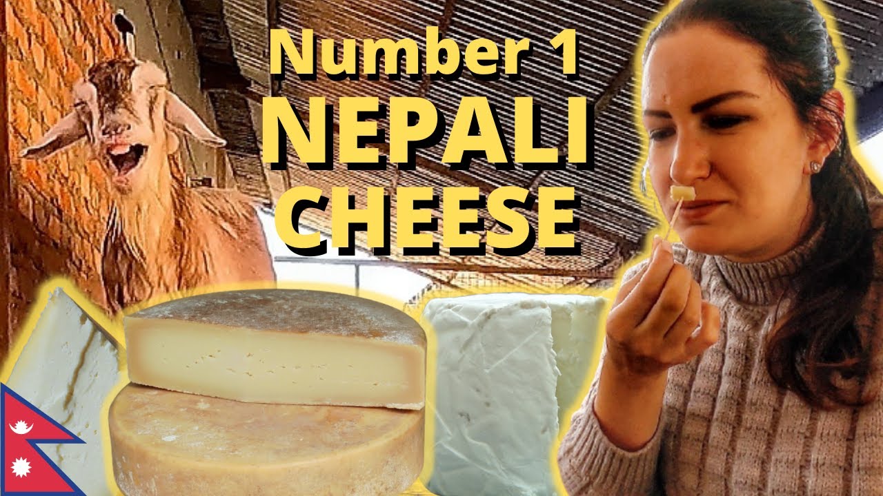 Goat Cheese Farm Experience in Chitlang 🧀 🍷 NEPAL - YouTube