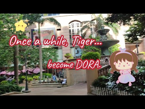 A while..,Tiger become DORA again - YouTube