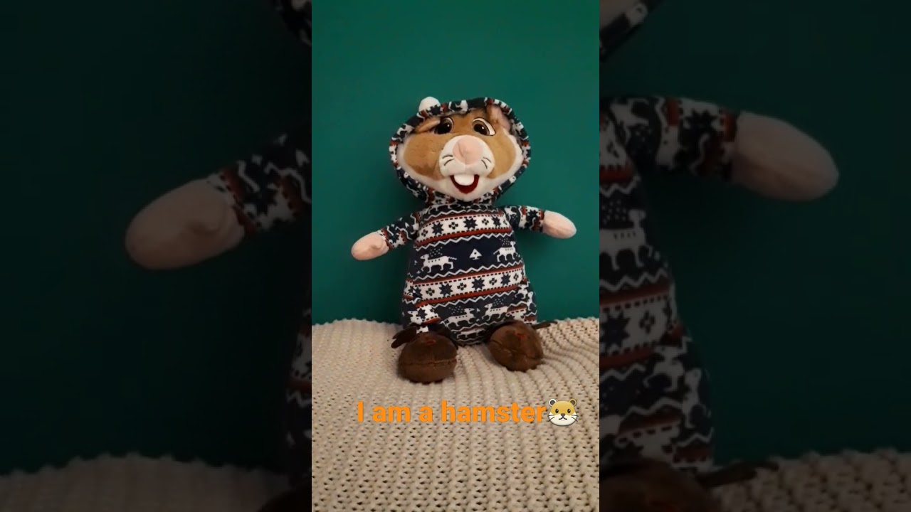 The Gangster Hamster🐹! - YouTube