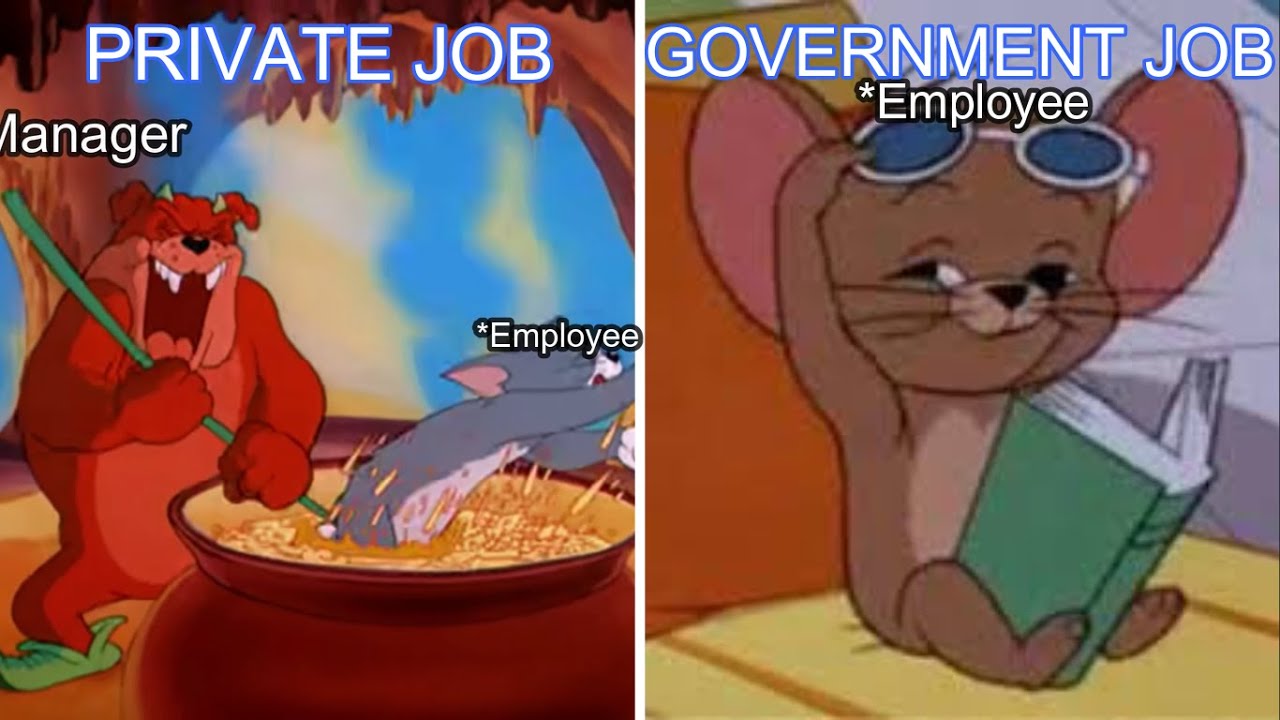 Government job VS Private job...🤣| Tom and Jerry meme - YouTube