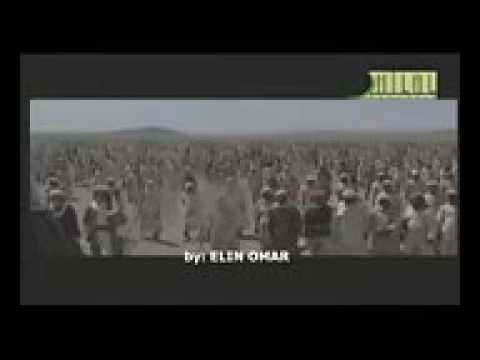 İmam Əli