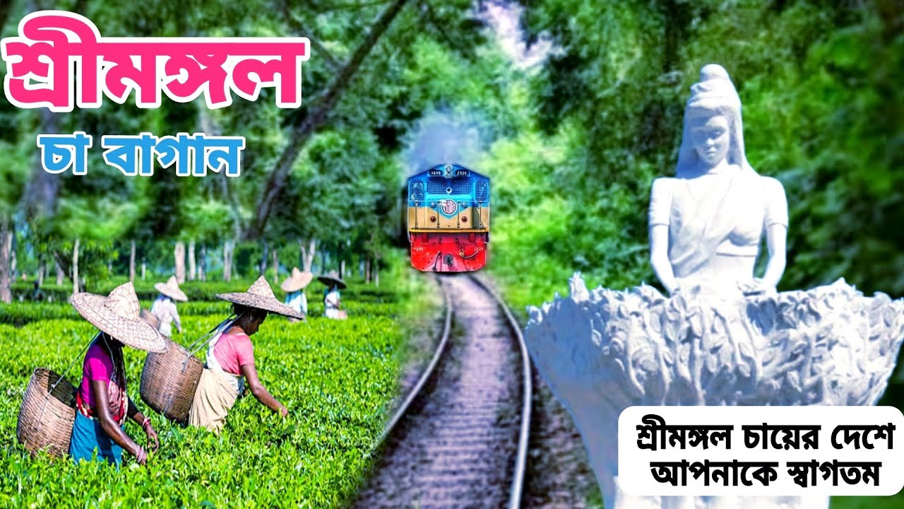 শ্রীমঙ্গল চা বাগান।।শ্রীমঙ্গল চায়ের দেশে আপনাকে স্বাগতম, Sreemangal ...