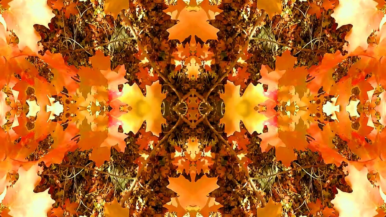 Psychedelic Vibes Of Nature - YouTube