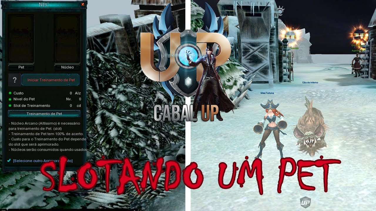 Cabal UP - Um Jeito Para Iniciantes - Como Por Slot em um Pet #4 - YouTube