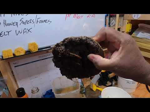 Minding My Own BeesWax! - YouTube