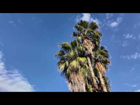 How to increase confidence