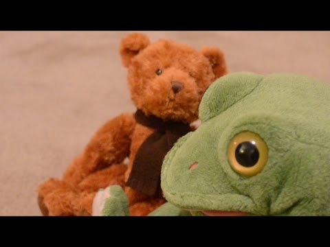 [HD] A snuggle frog is joking around. (だにえるくん、くまちゃんにいたずら) - YouTube