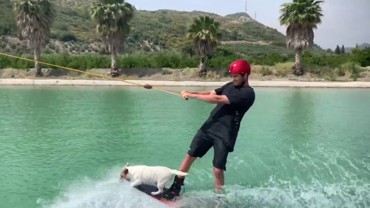 Doggo Rides Wakeboard like a Pro || ViralHog - YouTube
