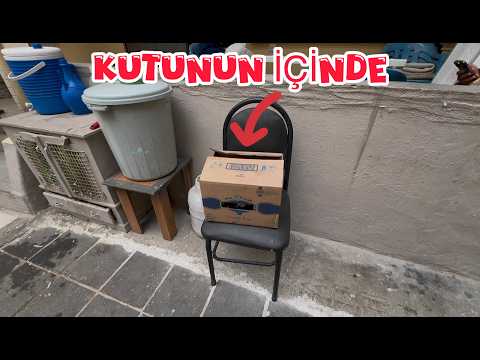 HEDİYE GÜVERCİNLER GELDİ ( KUTUNUN İÇİNDE )