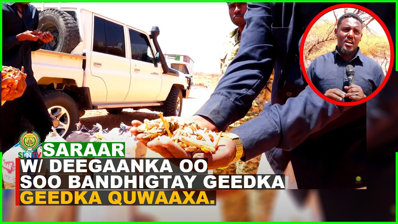 Wasarada Deegaanka G.Sarar ayaa soo bandhigtay geedka quwaaxa oo si ...