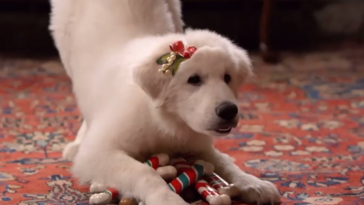 Santa Paws 2 Santa Pups Introduction movie tell GamerCassPlays - YouTube