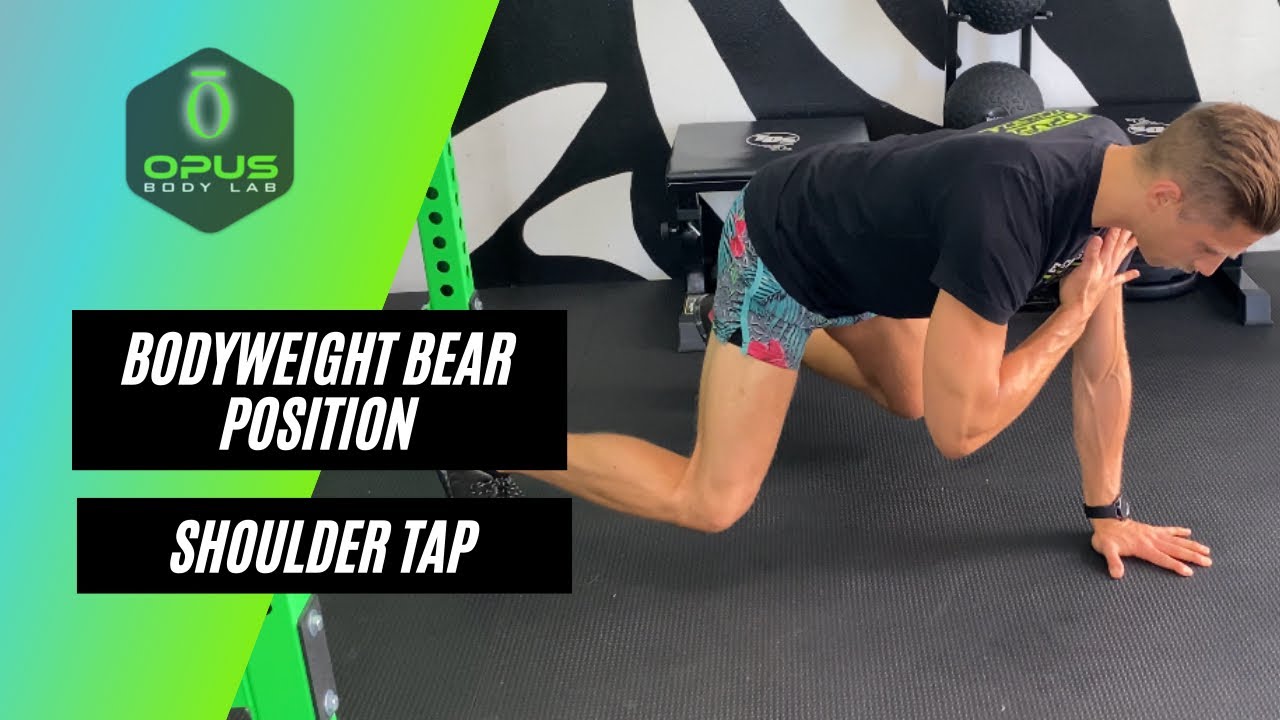 Bodyweight Bear Position Shoulder Tap - YouTube