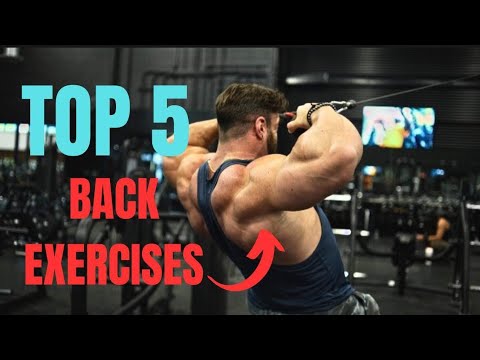 Top 5 Back Exercises | Back Workout at Gym | Back At Gym - YouTube