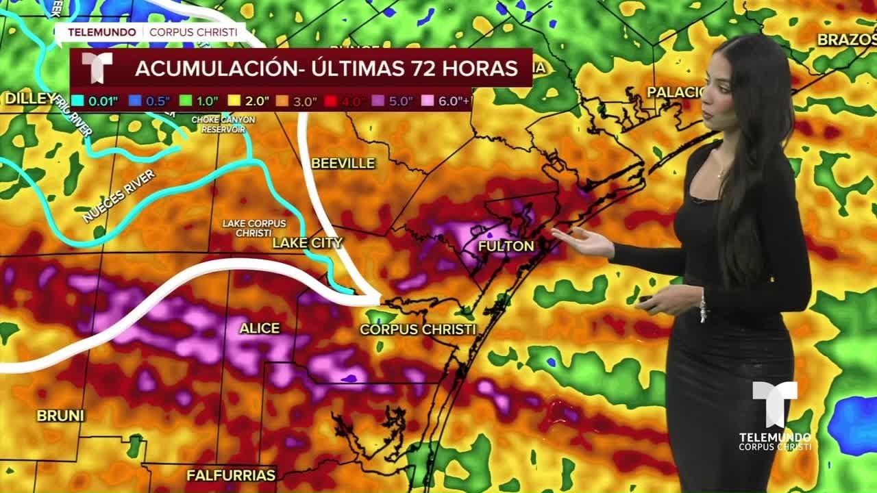 Zuleika Soler Telemundo Digital 6.20.24 - YouTube