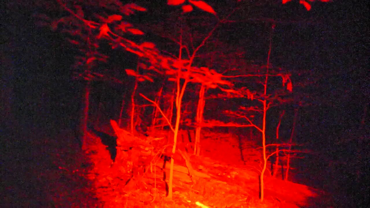 Hoosier National Forest, IN at night w/Sionyx Pro color IR nightvision ...