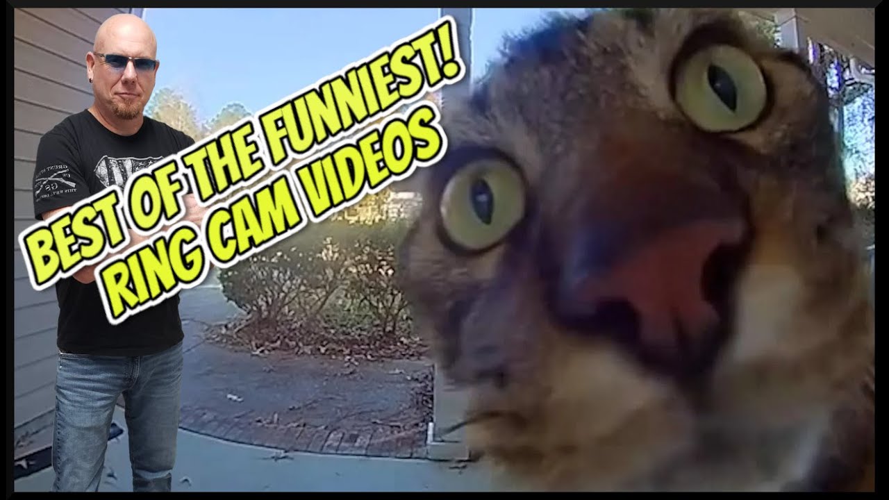 Thank Goodness For Ring Cams! Here's Our Funniest Captures! - YouTube