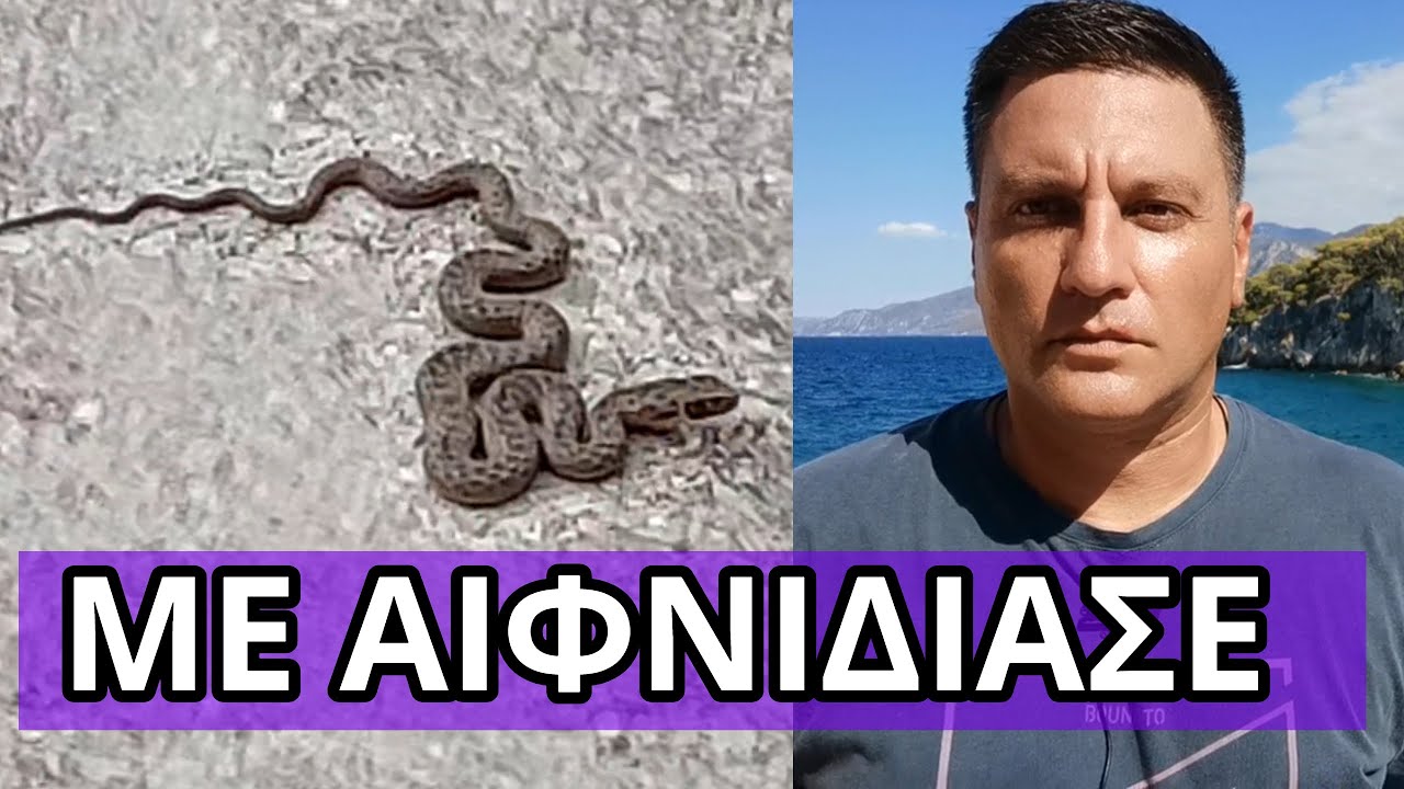 ΜΟΥ ΤΗΝ ΕΠΕΣΕ ΦΙΔΙ! Έριξε δαγκωνιά όταν! - YouTube