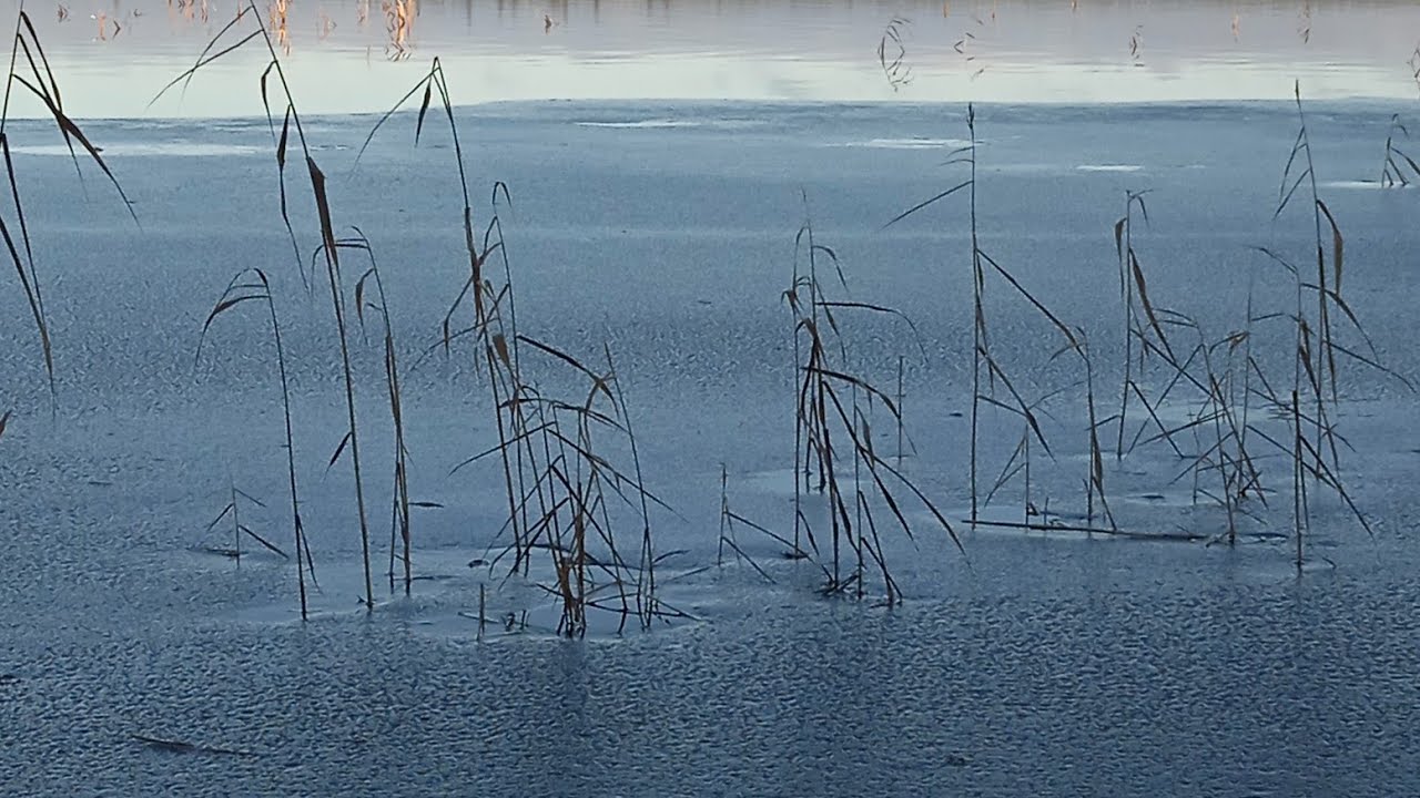 ПЕРВЫЙ ЛЁД РАСТАЯЛ. РЫБАЛКА В КОНЦЕ ОКТЯБРЯ."The first ice melted ...