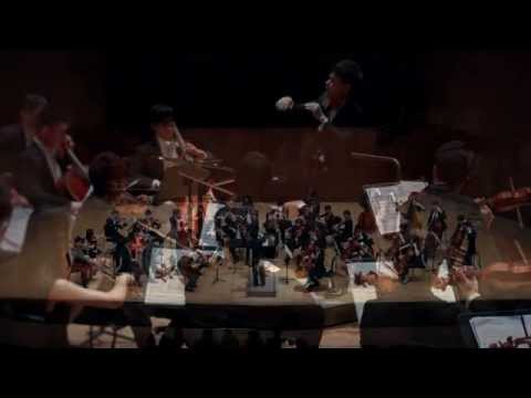 Ireland (arr. Ireland & Bush) - A Downland Suite | Hong Kong Chordophonia 2015