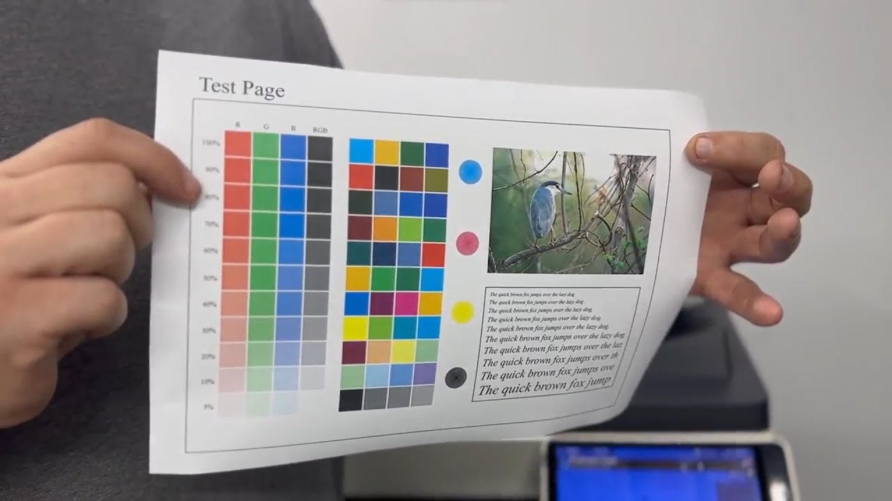 DICA DO DIA - Página teste na Konica Minolta (página do passarinho ...