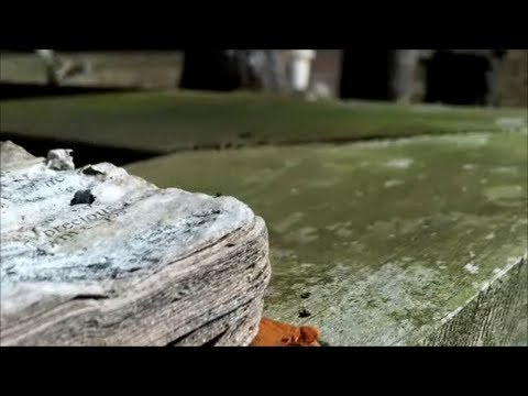 Kodak Playsport zx5 1080p video test (professional made)