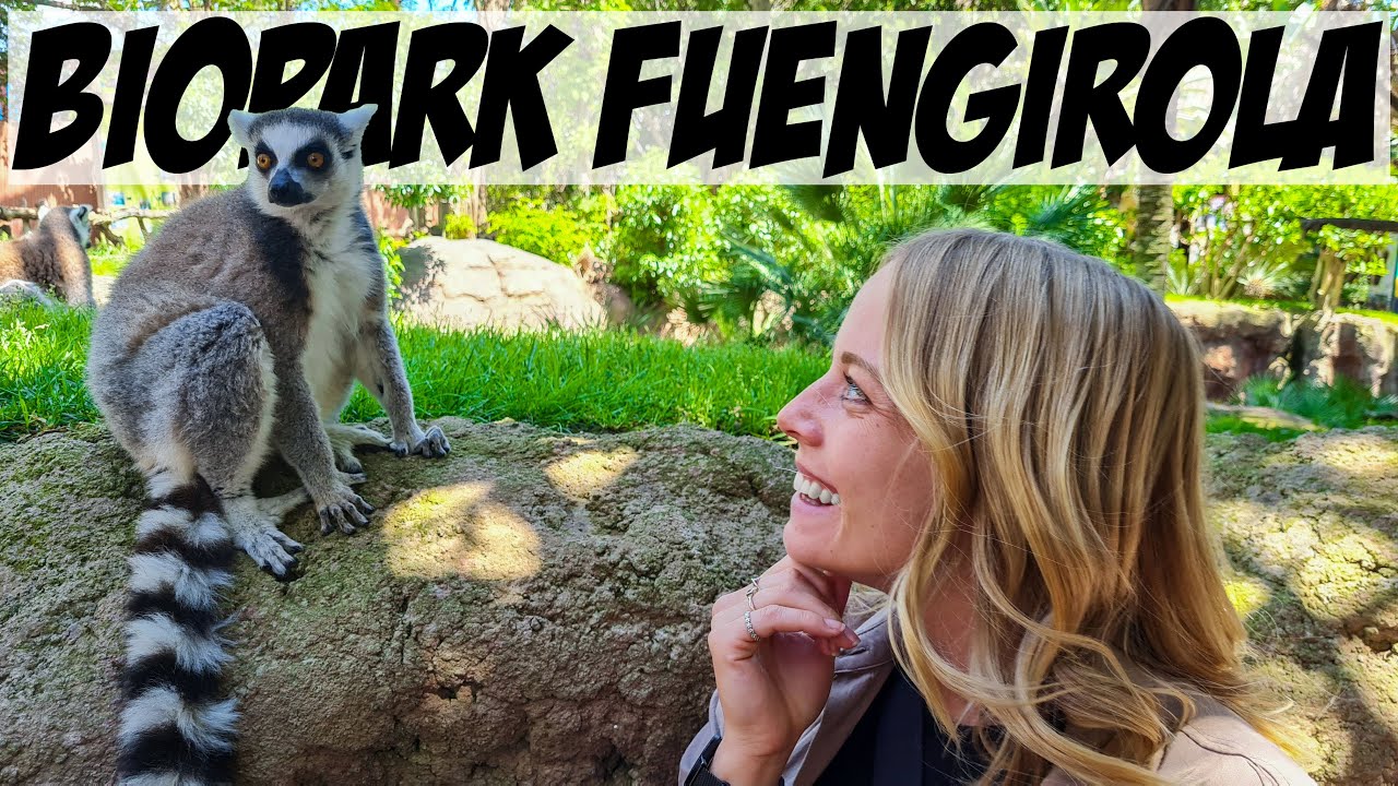 VISITING A ZOO IN SOUTH OF SPAIN (up and close with animals) - YouTube