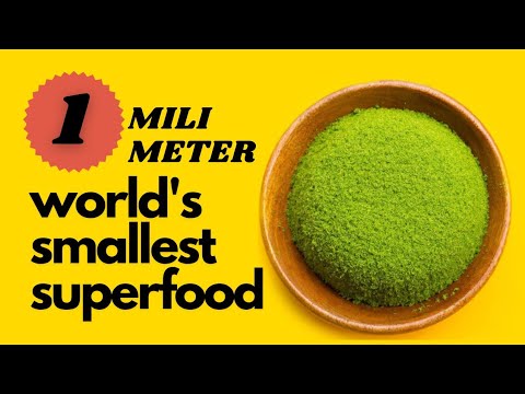 World's Smallest Super Food - YouTube