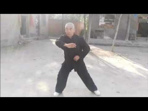 Wang Chang Jiang - Tai Chi style Chen Laojia Chenjiagou [陈氏太极拳老架 Taijiquan style Chen] - YouTube