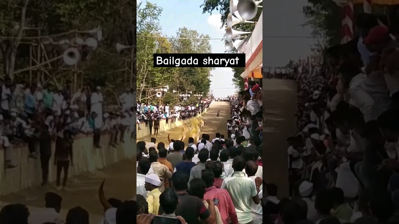 bailgada sharyat maharashtra - YouTube