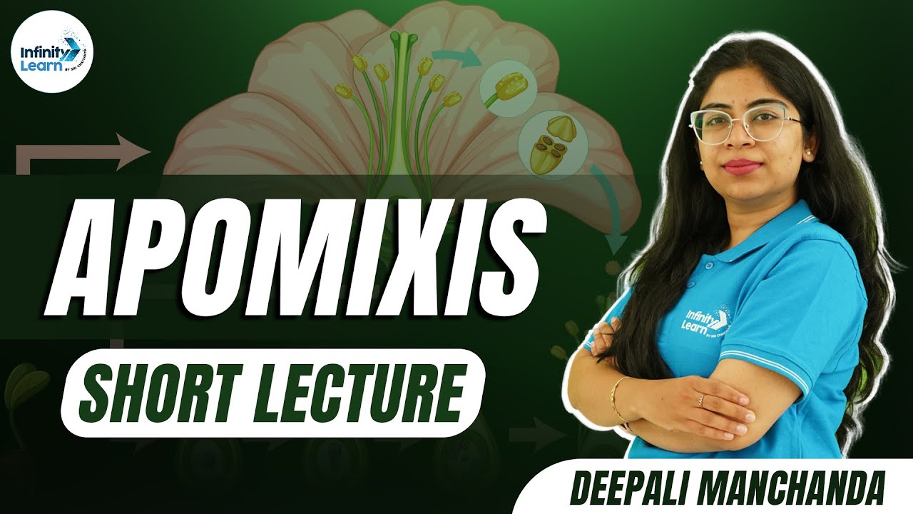 Apomixis || #ShortLecure || Deepali Manchanda || Infinity Learn - YouTube