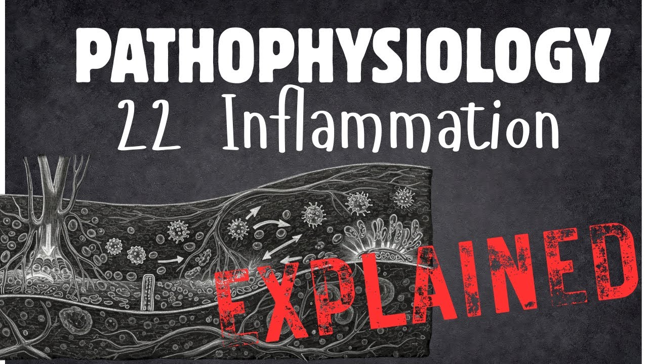 PATHOPHYSIOLOGY essentials EXPLAINED 22 -- Innate Immunity ...