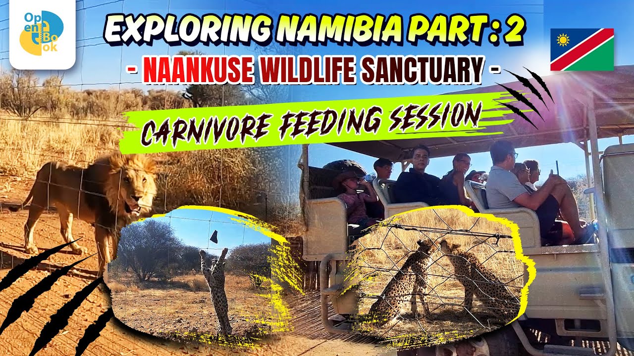 Exploring Namibia - Part 2 || Naankuse Sanctuary || Carnivore Feeding ...